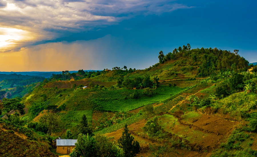Teaching the Human Story of the 1994 Genocide Against the Tutsi in Rwanda